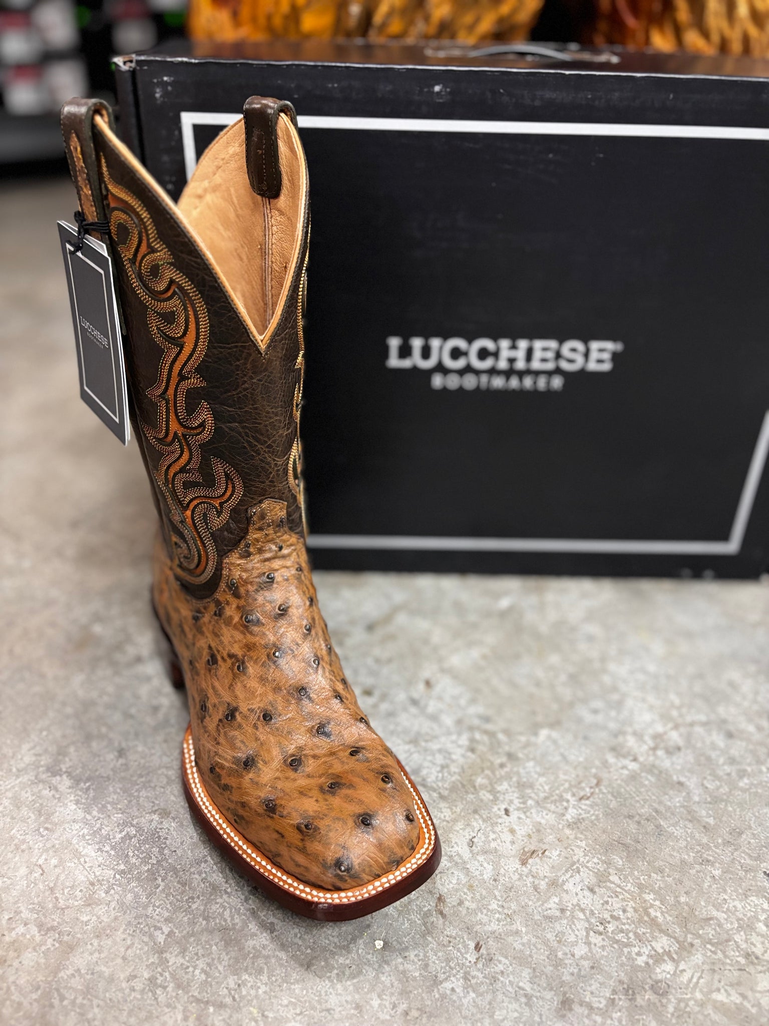 Lucchese M4351.W8 Premium Full Quill Ostrich Boots (Discontinued)– Jack ...